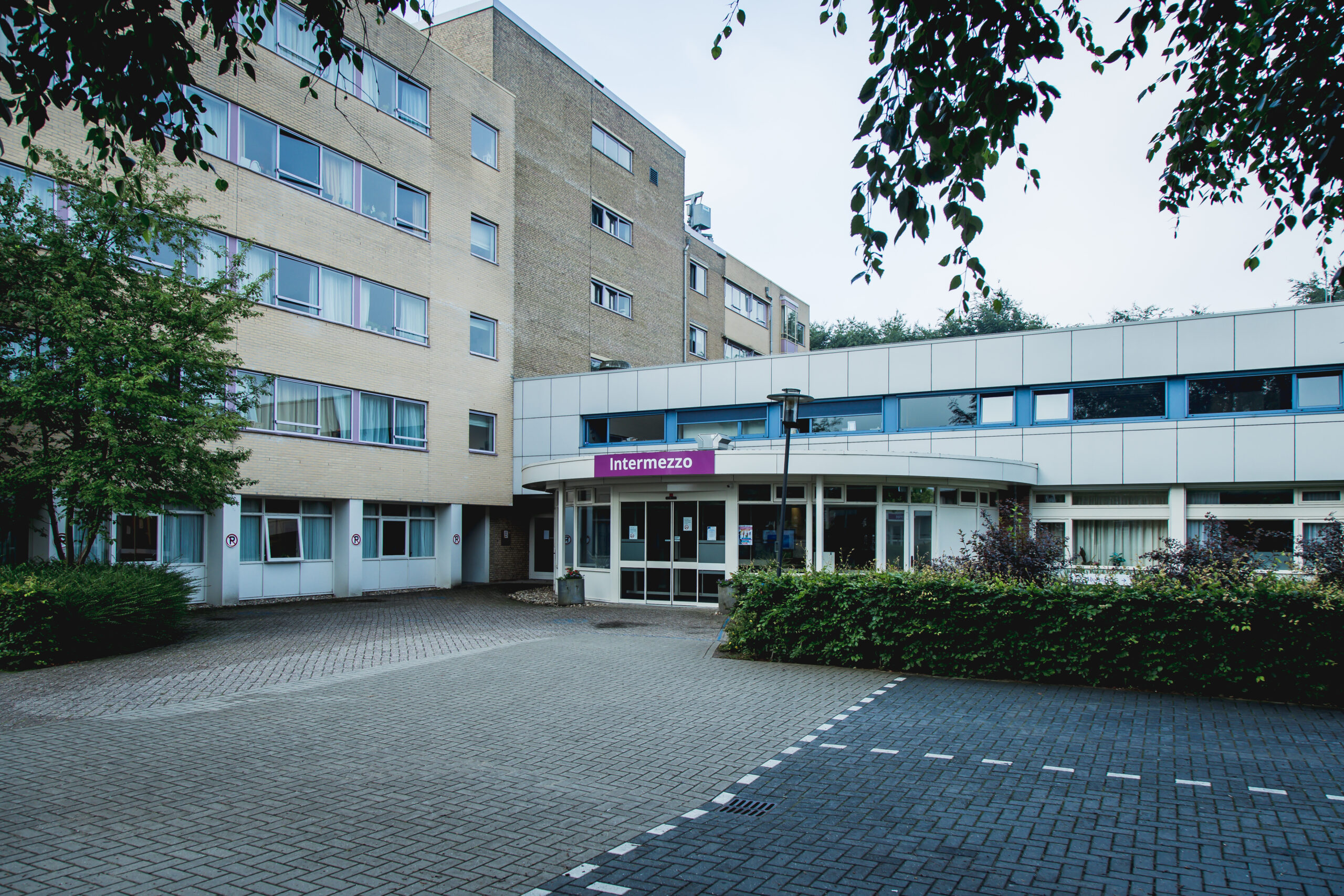 Intermezzo in Dieren - Attent zorg en behandeling